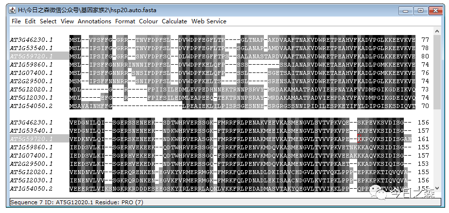 详解多序列比对软件Jalview的使用方法，美化-编辑-自定义设计_进行