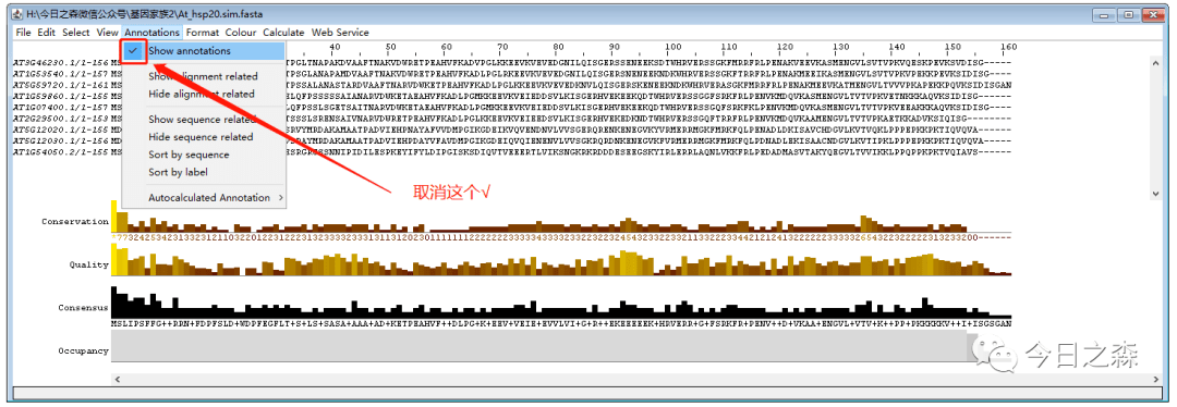 详解多序列比对软件Jalview的使用方法，美化-编辑-自定义设计_进行