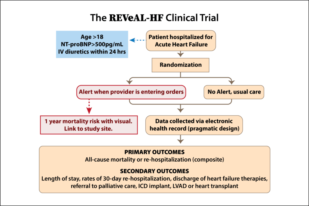 AHA 2021丨REVeAL-HF研究：心力衰竭患者风险评估对临床决策和患者预后的影响_治疗