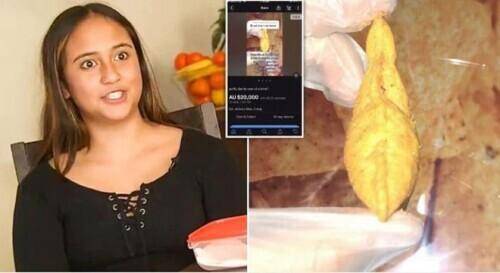 女孩吃出稀有形状薯片在网络走红 获1万英镑奖励_Rylee_Stuart_竞拍者