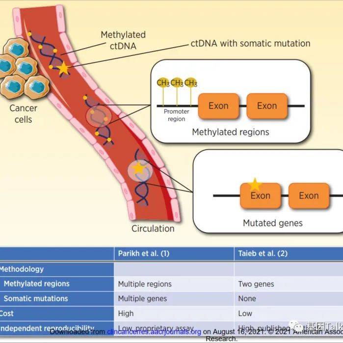 顺应潮流：仅血浆ctDNA-MRD检测的应用前景！_临床_患者_肿瘤