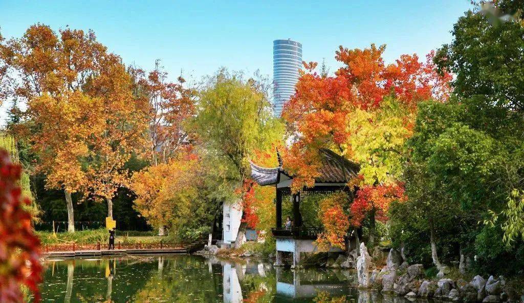 全国第11，徐州，最具幸福感的城市！-搜狐大视野-搜狐新闻