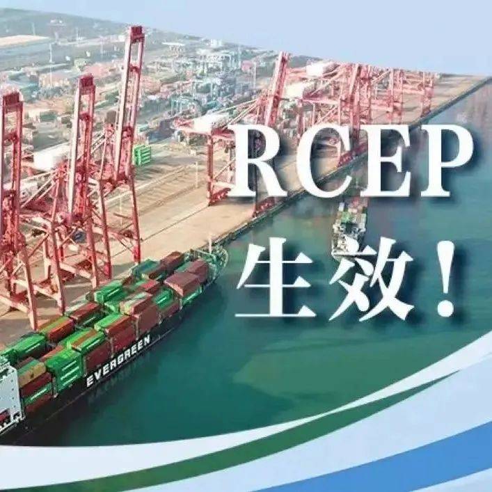 RCEP生效！深圳迎来全国首票进口货物_关税_协定_企业