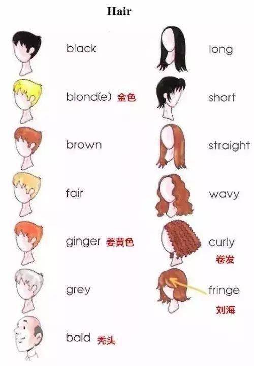 最全发型英文表达，再也不用担心理发师会错意啦！_hair_头发_cut