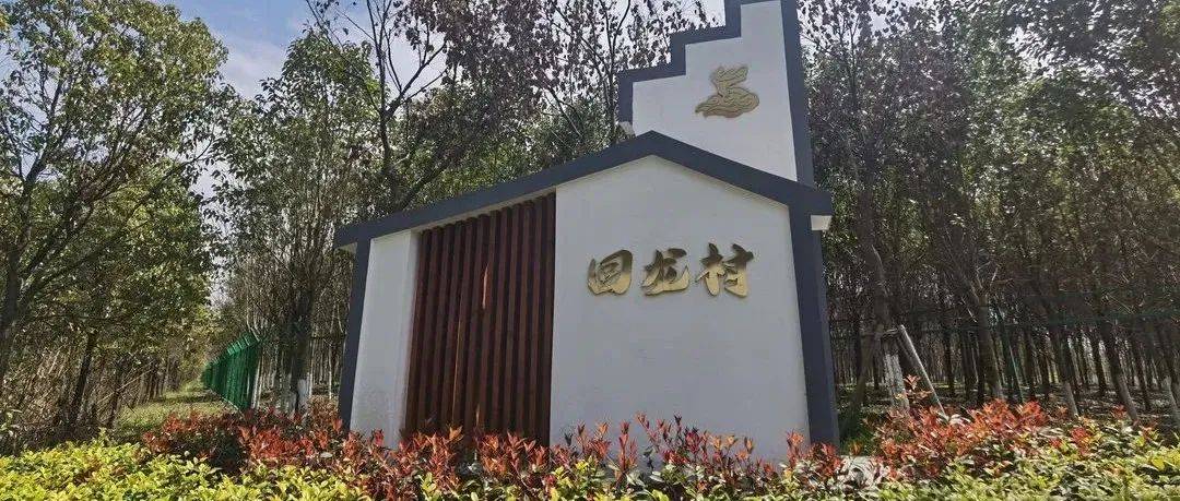 重固镇 “回龙村”入选市美丽乡村示范村，很多人来这里拍照打卡！你来过没有？建设村民农业 7915