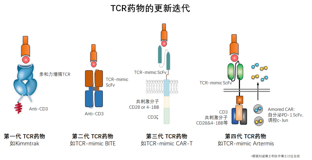 写意对话│全球首个TCR药物获批对未来细胞治疗新靶点筛选有哪些启发？_抗体_蛋白_技术