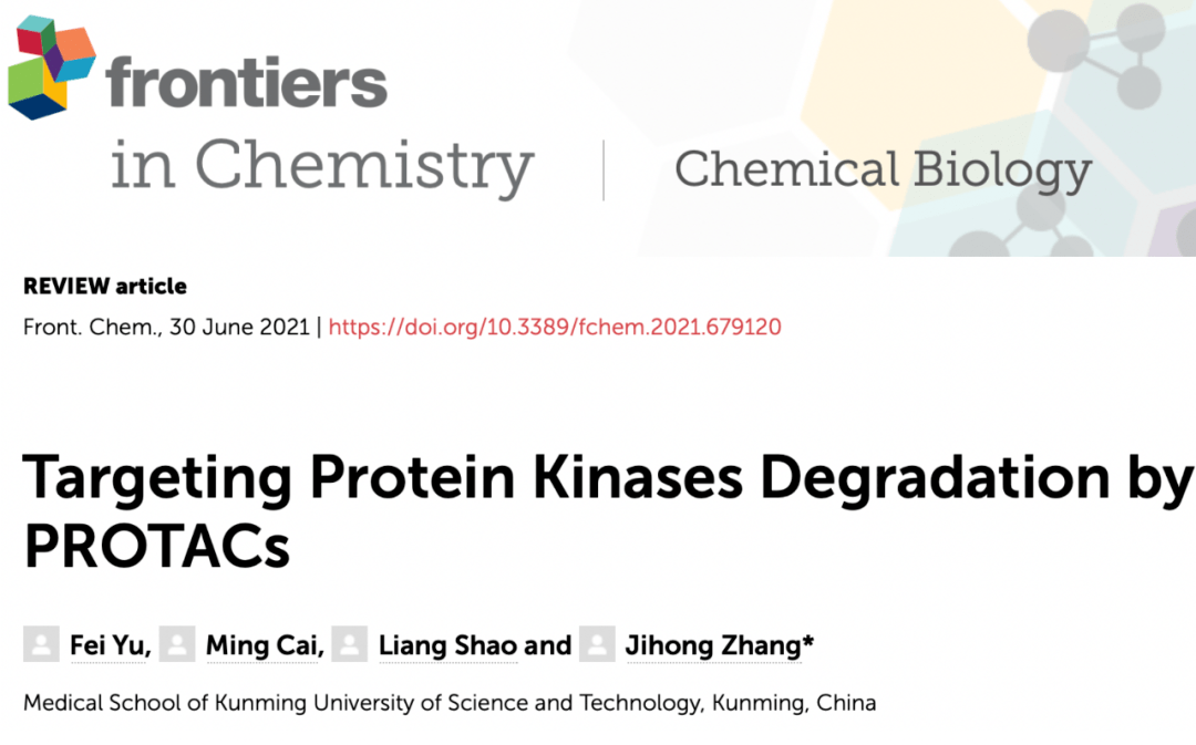 综述：靶向降解蛋白激酶的PROTAC汇总_开发_粒细胞_Yang