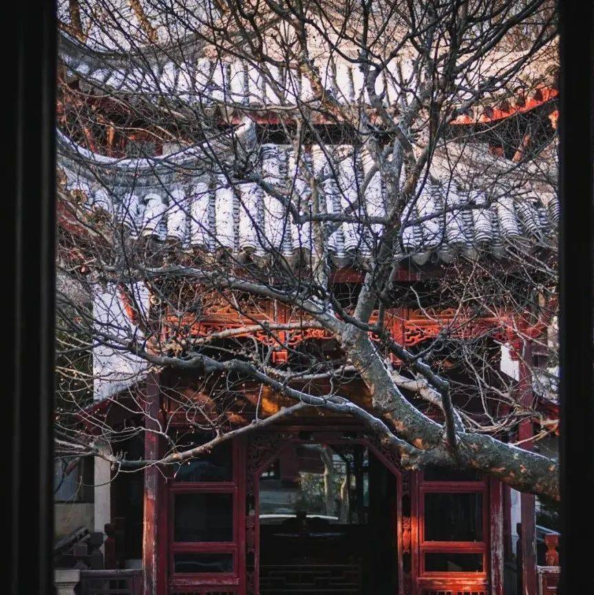 中年以后,静而不争(深度好文)生活余生时间