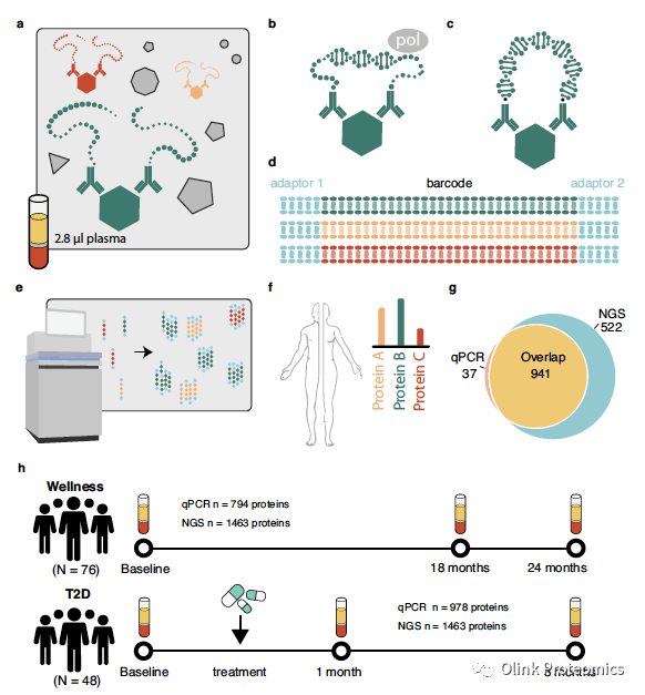 2月21日讲座｜Olink新一代血浆蛋白组学分析助力人类健康及疾病研究_标志物_检测_药物
