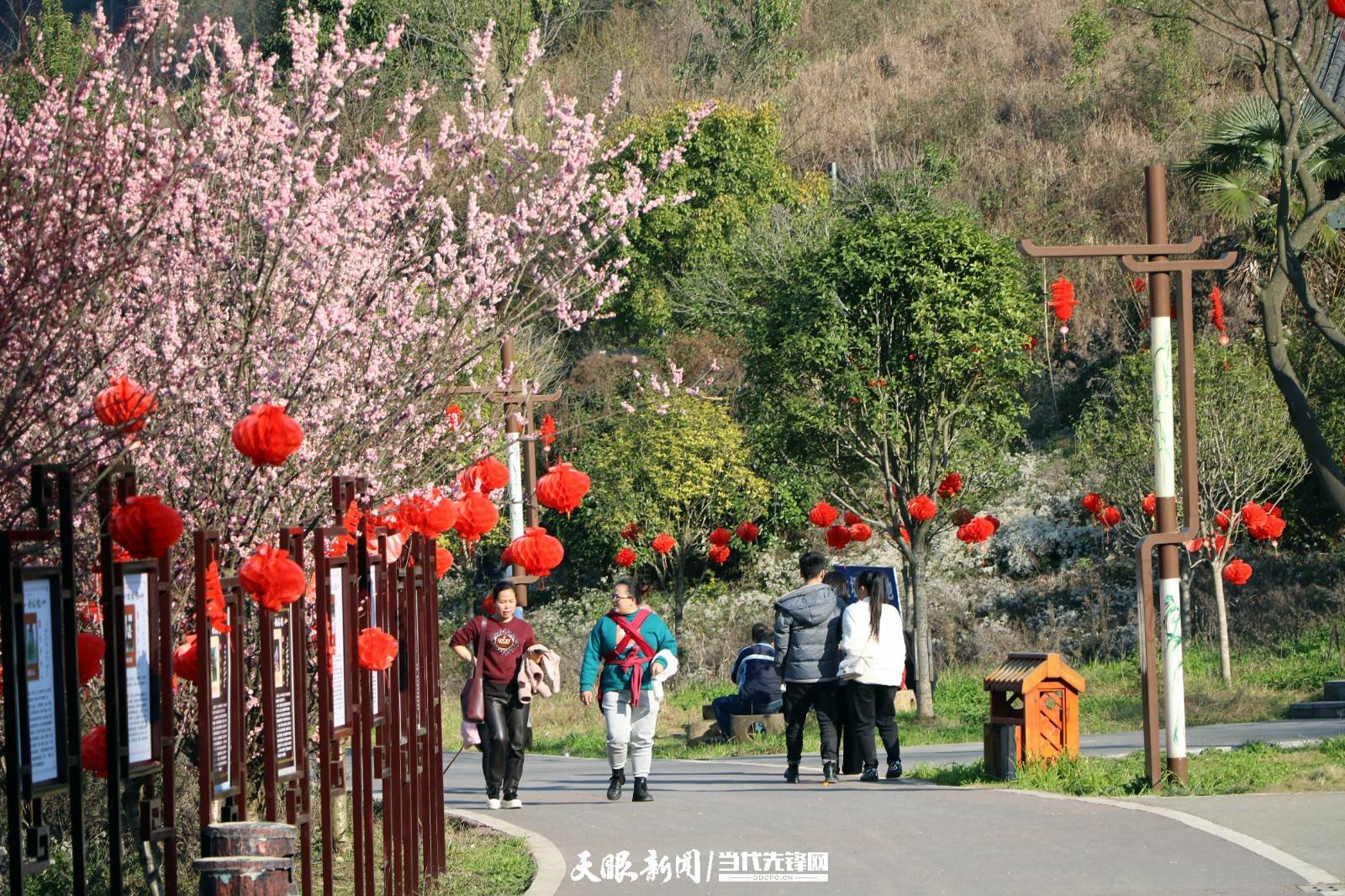 兴仁:公园游玩踏青 市民享受休闲好时光匡奇燃宋洁游客
