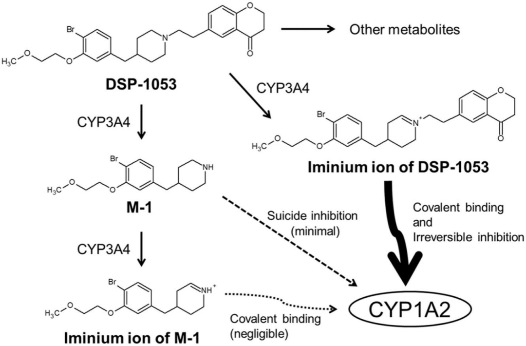 杰克说药丨如何克服时间依赖性抑制（TDI）？_药物_代谢_kinact