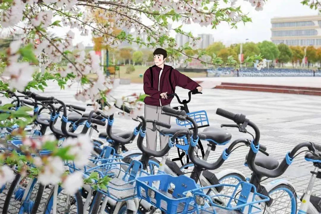 SUIBE春色等你点开_校园_生机_大道