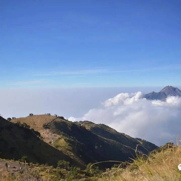 左宗棠谈择友：这两种人，莫深交朋友宗亲友情