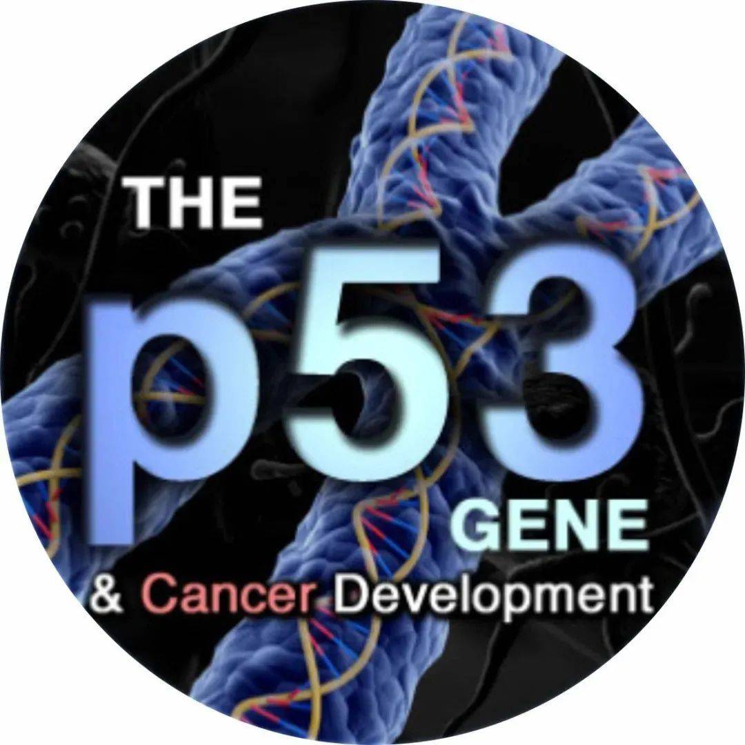 Nature子刊：江鹏/杜文静合作揭示苹果酸酶代谢调控突变体p53蛋白的稳定性_研究_mutp_肿瘤