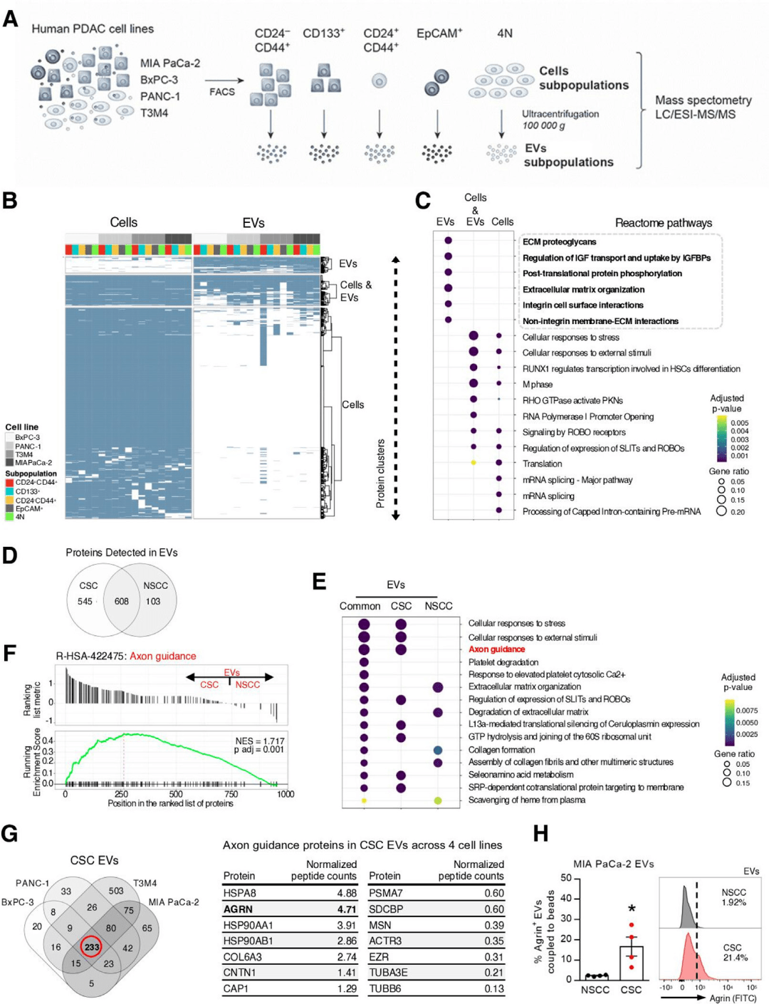 Gut（IF 23.059）| 癌细胞的密探007！胰腺癌细胞外泌体构建信号网络促进肿瘤进展_研究_Network_通讯