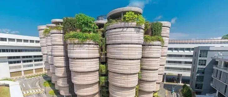 NTUitive将线上举办NEST创业培训项目！_进行_商业_课程