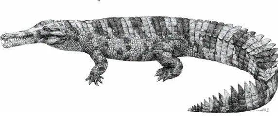 史前新物种中华韩愈鳄，合工大教授团队新发现刷爆朋友圈！_英国皇家学会_研究_科研