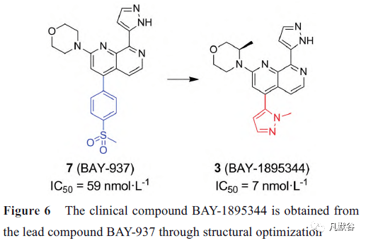 靶向ATR激酶抑制剂治疗癌症的研究进展_损伤_蛋白_细胞