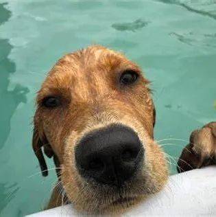 soggy | 浸水的；透湿的；沉闷的”。_of_the_little