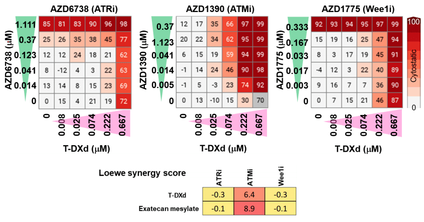 盛湲教授：ADC药物的狂欢—AACR T-DXd最新数据盘点_研究_细胞_治疗