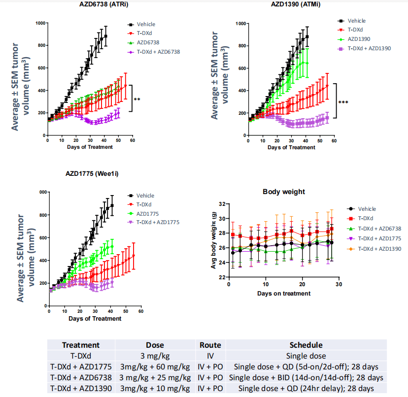 盛湲教授：ADC药物的狂欢—AACR T-DXd最新数据盘点_研究_细胞_治疗