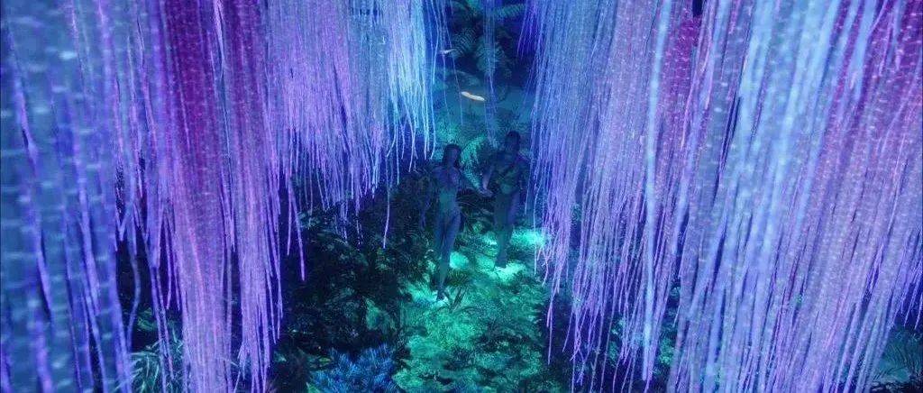 《阿凡达》里的「生物发光树」成真了！这个小镇的赛博路灯不简单_Glowee_来自_图片