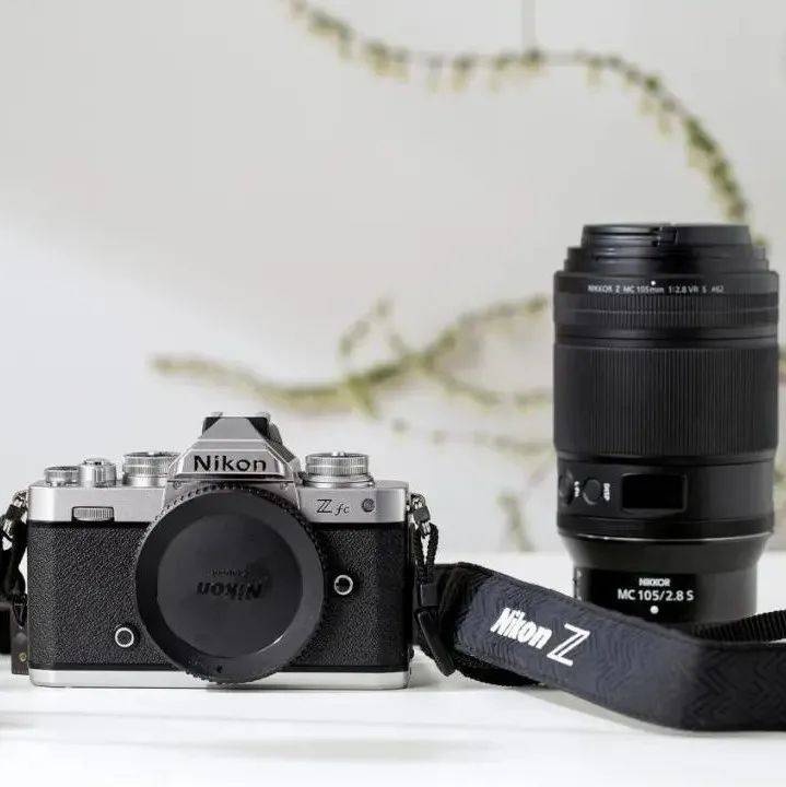 景明器材II离美好更近一点，尼康Z fc搭配微距镜头摄影分享_mm_尼克尔_画面