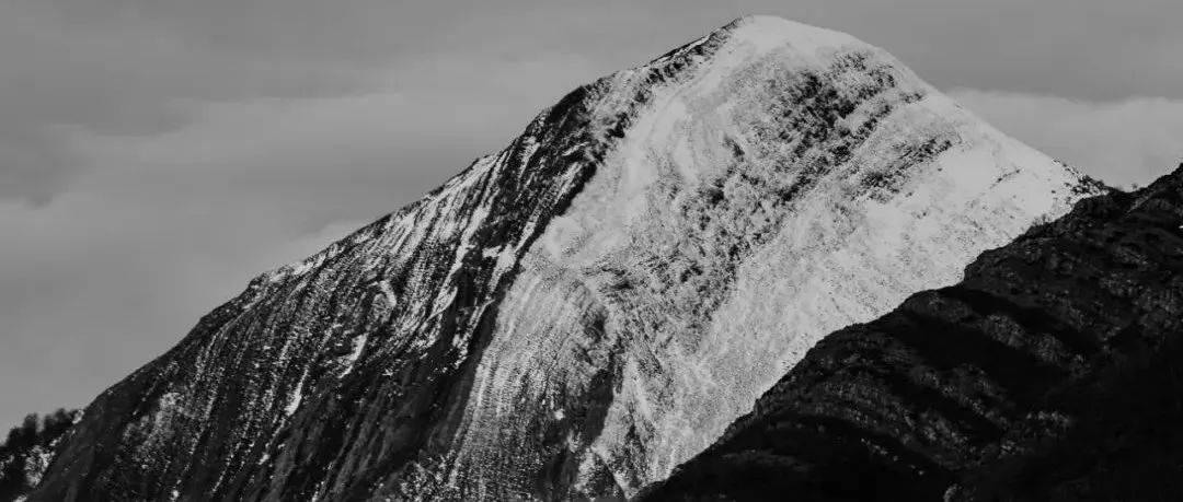 强生任命Thibaut Mongon为新消费者健康公司的首席执行官_Paul_Ruh_业务