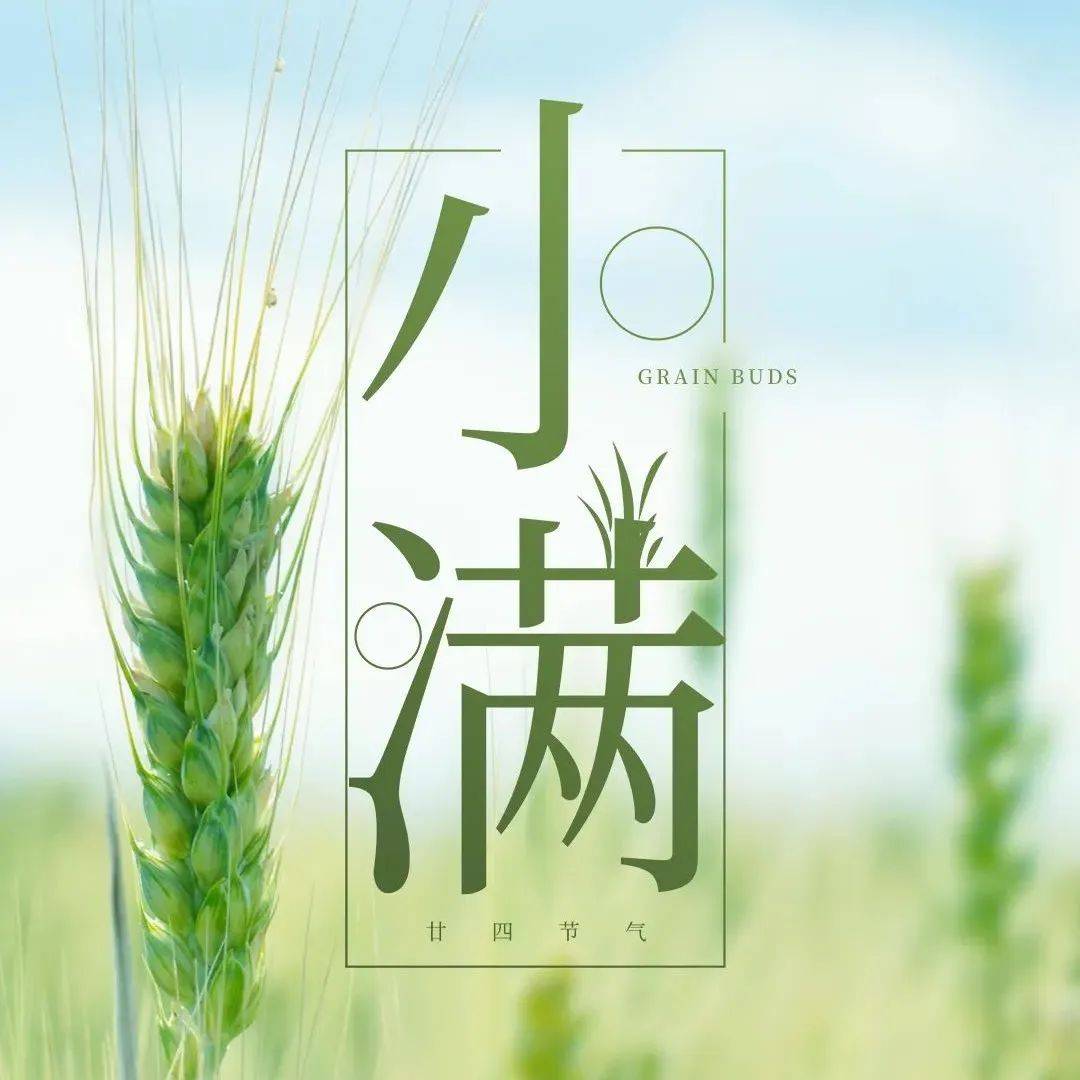 今日小满 今天9时23分迎来小满 521遇见小满 小满