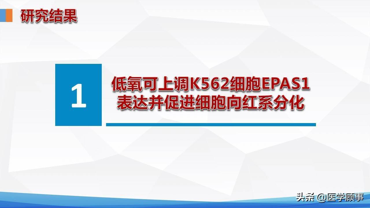 低氧条件下EPAS1调控K562细胞系红系分化的作用研究_因子_诱导_环境