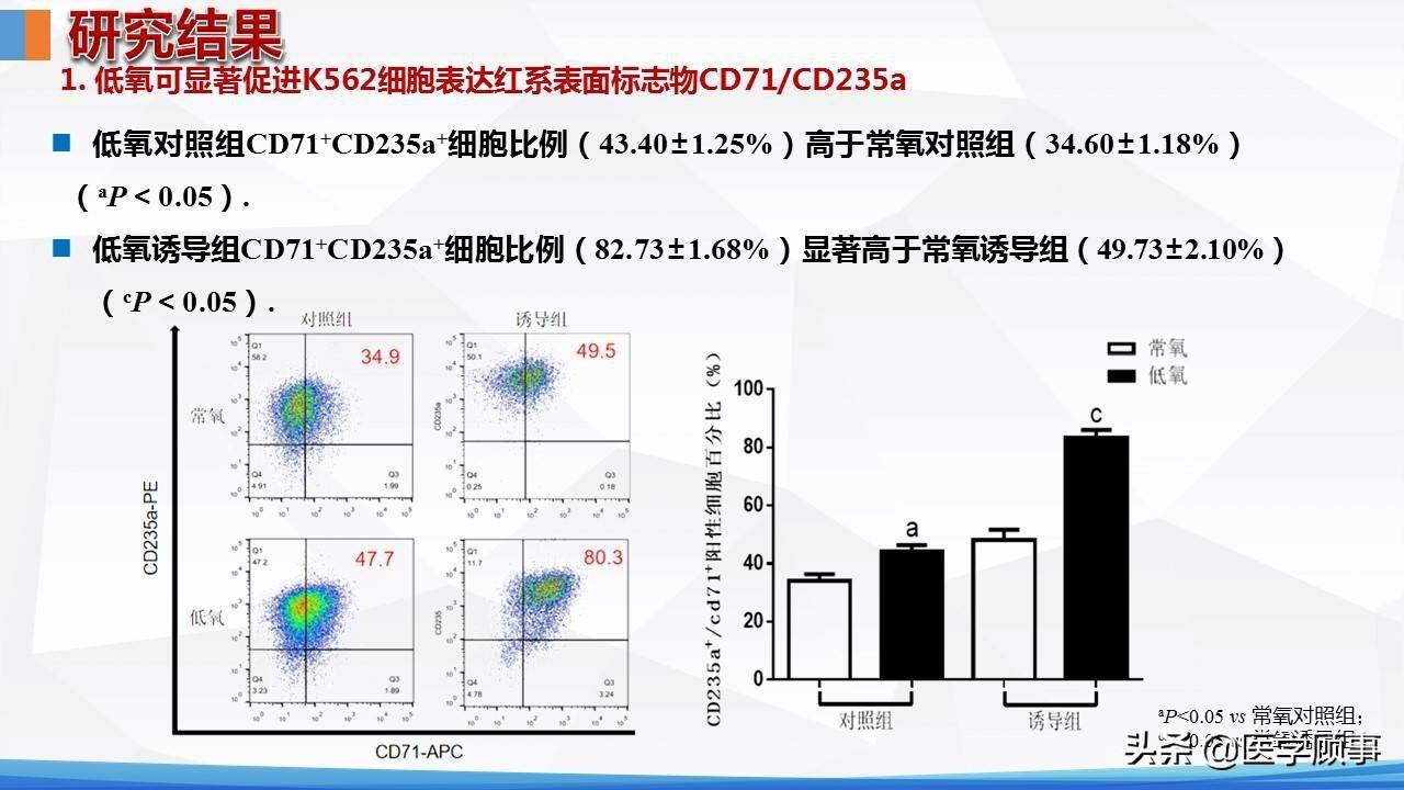 低氧条件下EPAS1调控K562细胞系红系分化的作用研究_因子_诱导_环境