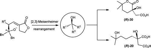 [2,3]-Meisenheimer重排_Chem_Ber_Synlett