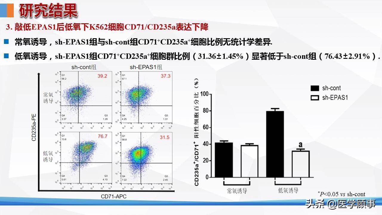 低氧条件下EPAS1调控K562细胞系红系分化的作用研究_因子_诱导_环境