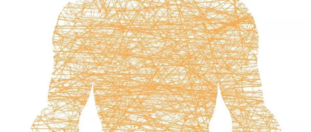 胸腰椎筋膜（TLF）的感觉功能_纤维_CGRP-ir_神经