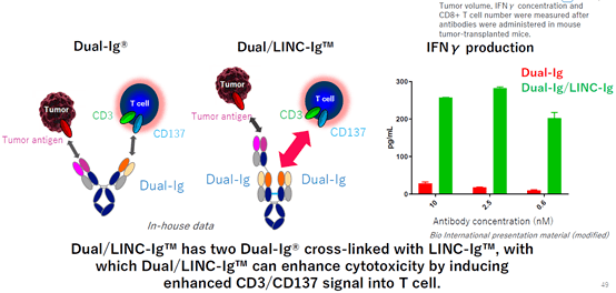 CD3 双抗在实体瘤中的挑战及解决之道_细胞_肿瘤_抗体