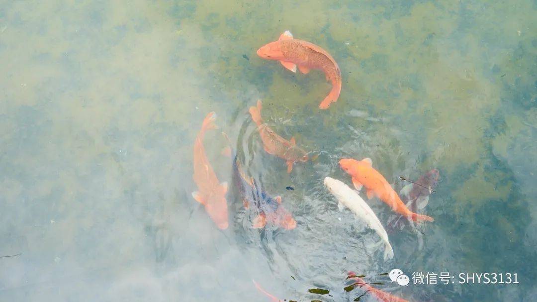 人生匆匆,自渡是一种能力,渡人就是一种格局。” 自渡是一种能力