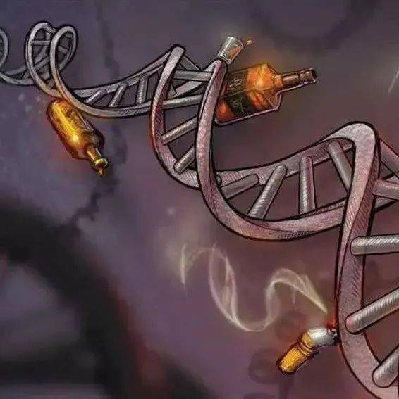 一文了解甲基化和羟甲基化测序技术_hmC_oxBS-seq_检测