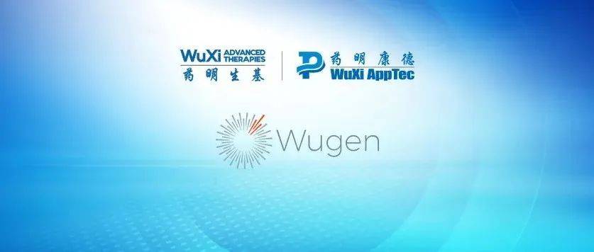 药明生基与Wugen达成新型肿瘤免疫细胞疗法生产合作，加速创新疗法研发进程 | Bilingual News_Dan_to_治疗