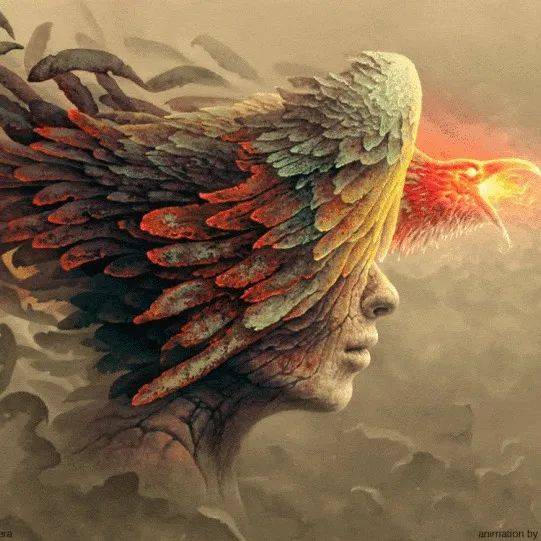 【美图欣赏】传说中的5D照片，太魔幻！_快门_瞬间_摄影