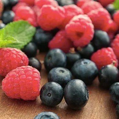 Mexico on course for 12% rise in berry exports this season_The_looks_sector
