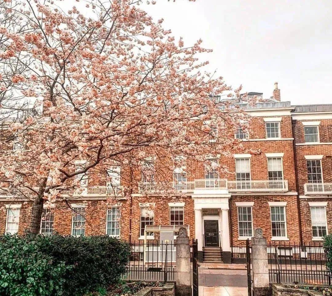 英国利物浦大学（UOL）博士招生简章_生物_专业_医学