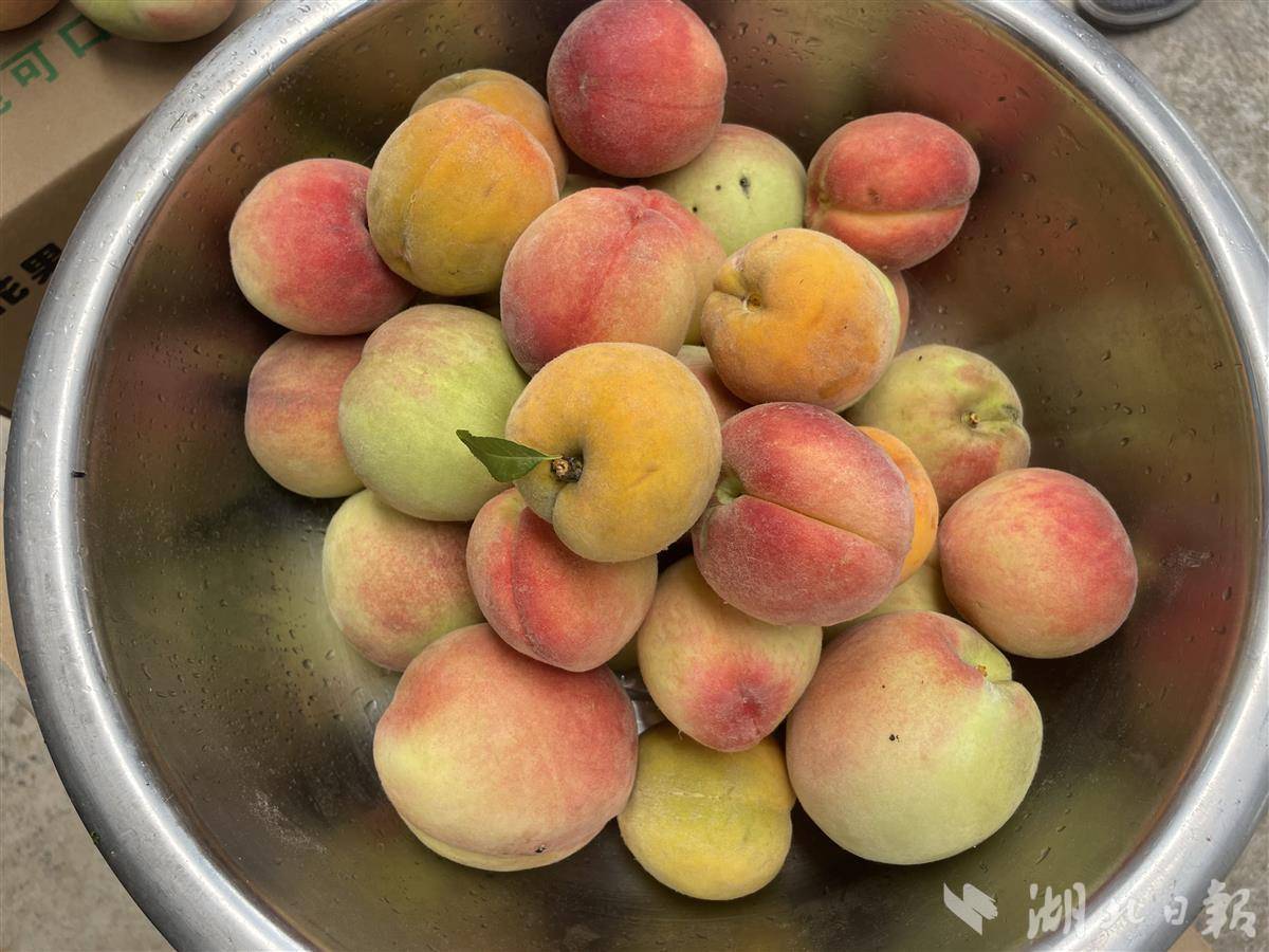 丹江口市石鼓镇：谋划畅销路，助桃农增收_销售_花果山_桃子