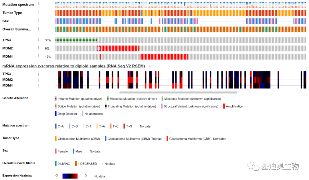 引用2万次！多维度基因组学综合探索：cBioPortal数据库使用指南_癌症_模块_Brain