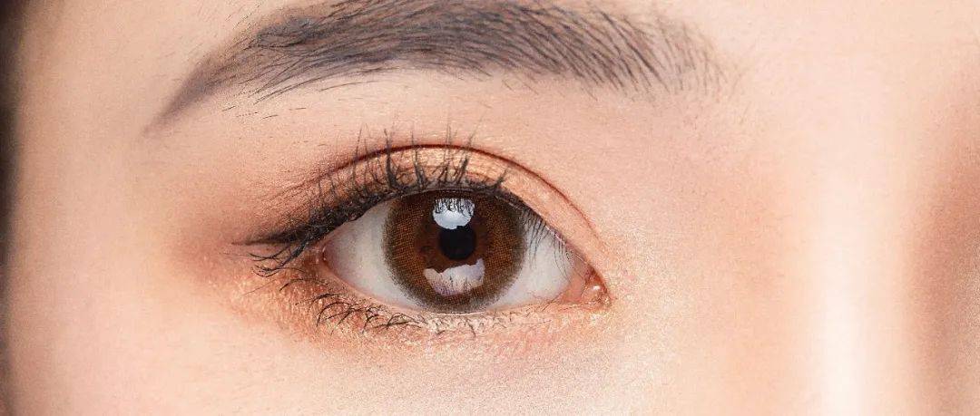 年龄相关性黄斑变性：心血管疾病的标志？_视网膜_玻璃_Macular
