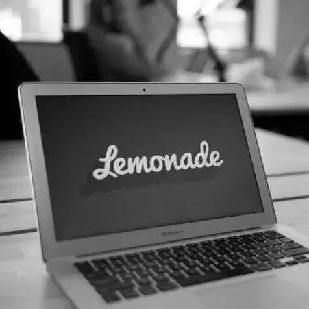 完成对Metromile的收购之后，Lemonade跃上新台阶？_亿美元_业务_保险