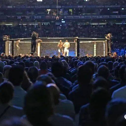 Fighters Only公布第14届世界MMA奖各奖项提名_Tuivasa_选手_Year