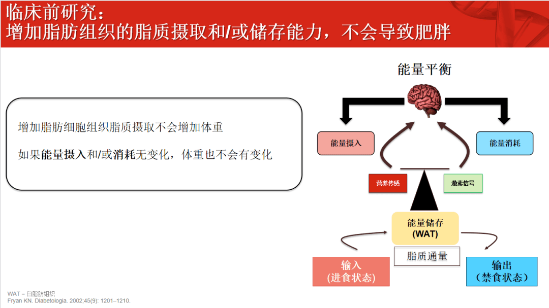 郭立新教授：谁动了你的脂肪？GIP与脂代谢不得不说的秘密_胰岛素_白色_的作用