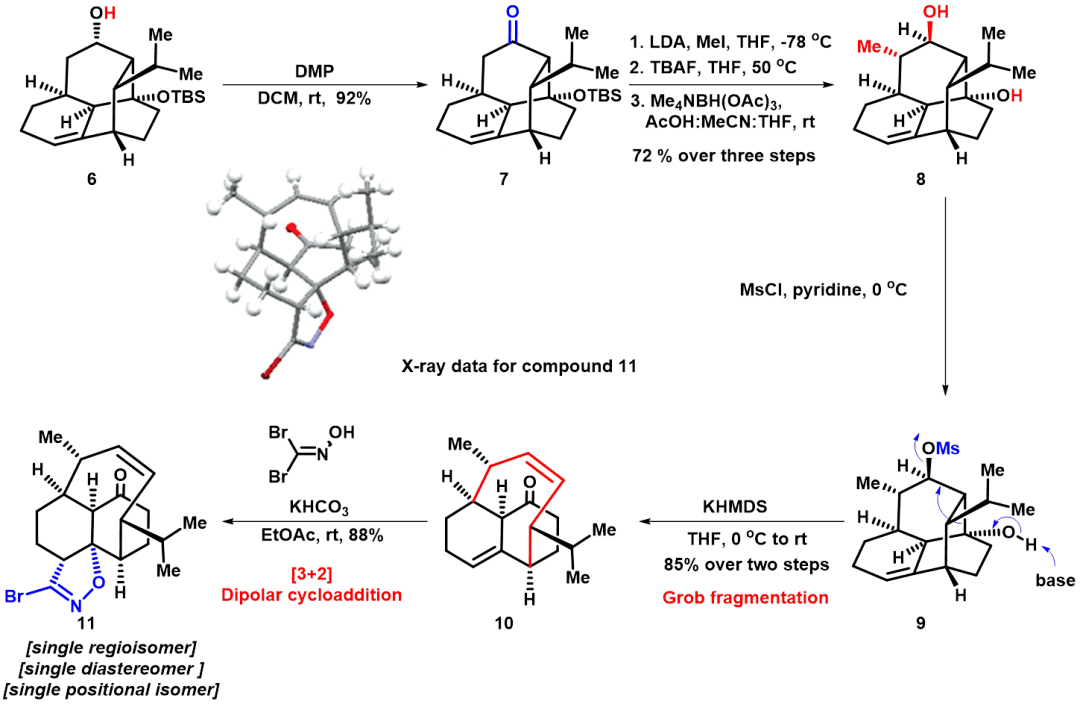 明星分子Vinigrol全合成研究_反应_结构_化学