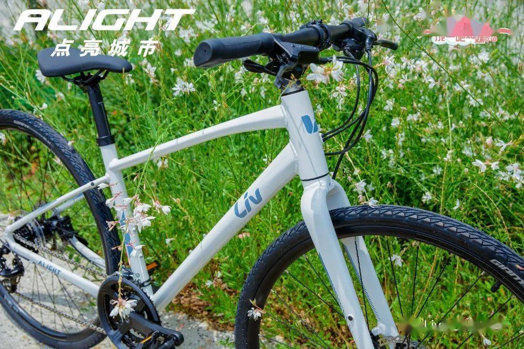 【美Liv上新】时光流转 用ALIGHT点亮城市_搜狐汽车_搜狐网