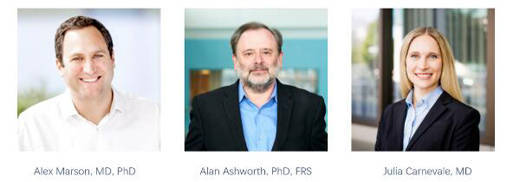 Nature：让抗癌T细胞更有效、更持久！新靶点RASA2“有戏”_基因_Marson_研究人员